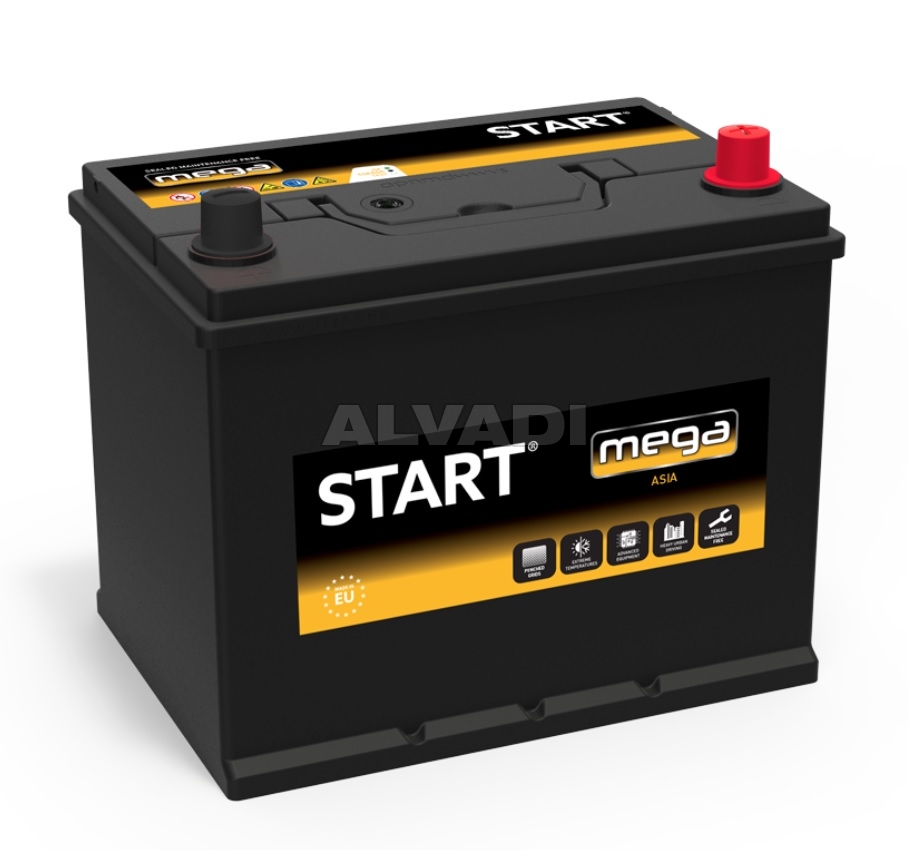 Car battery for Nissan GLORIA XI (Y34) 05.1999-08.2004 - alvadi.mt